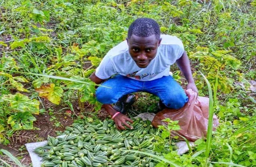 Okra Beloved by Gabonese